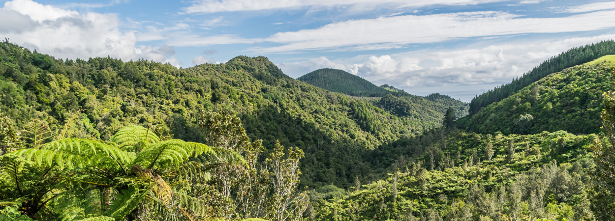 Waikato Regional Updates