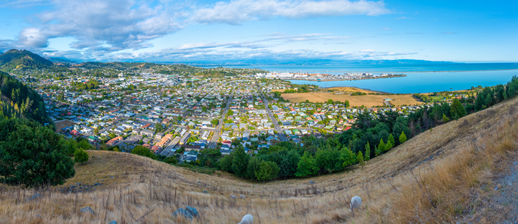 Nelson & Marlborough Regional Updates